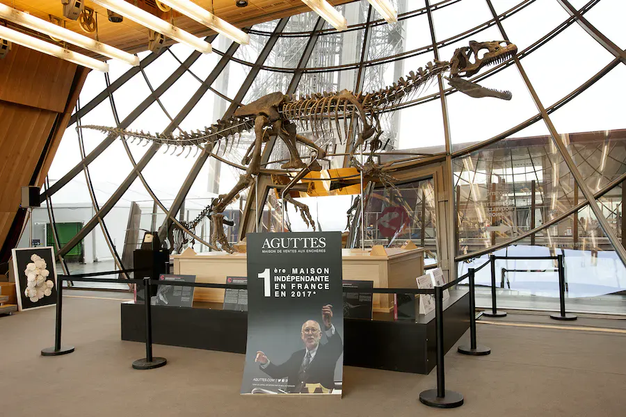 Here's Who Buys Dinosaur Skeletons at Auction and Why | Barnebys Magazine