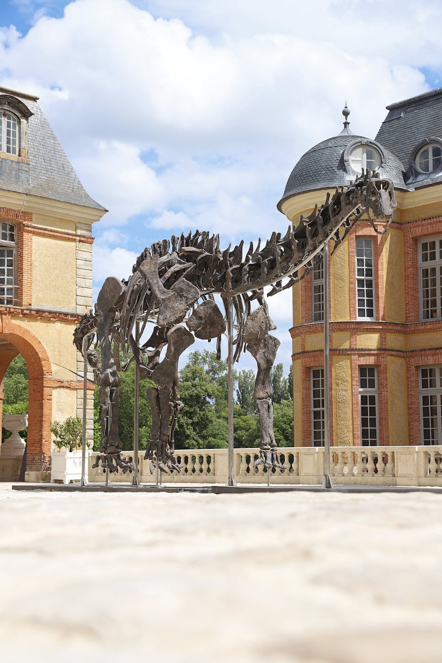 The World's Largest Dinosaur Skeleton Goes Up for Auction | Barnebys ...