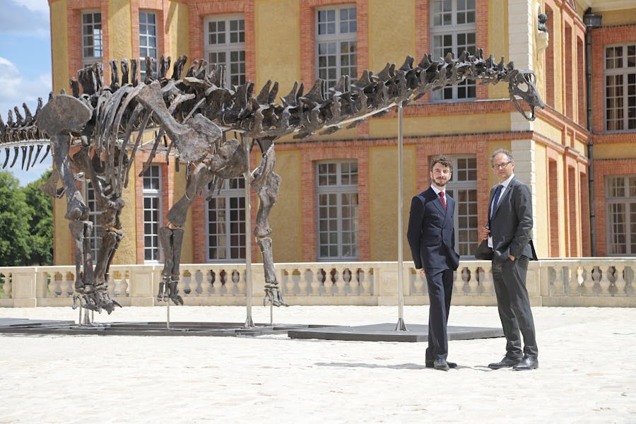 The World's Largest Dinosaur Skeleton Goes Up for Auction | Barnebys ...