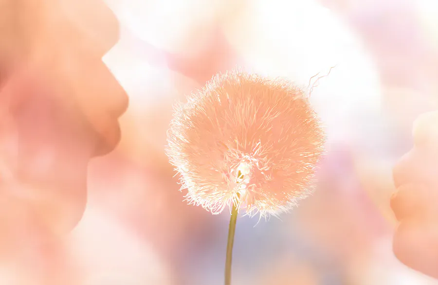 Discover Peach Fuzz: The Pantone Color of 2024 | Barnebys Magazine