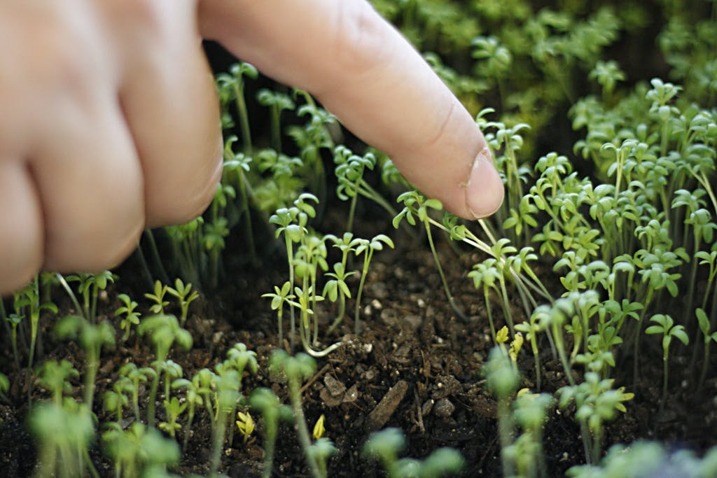 Meet Eater | Bashkim Isai