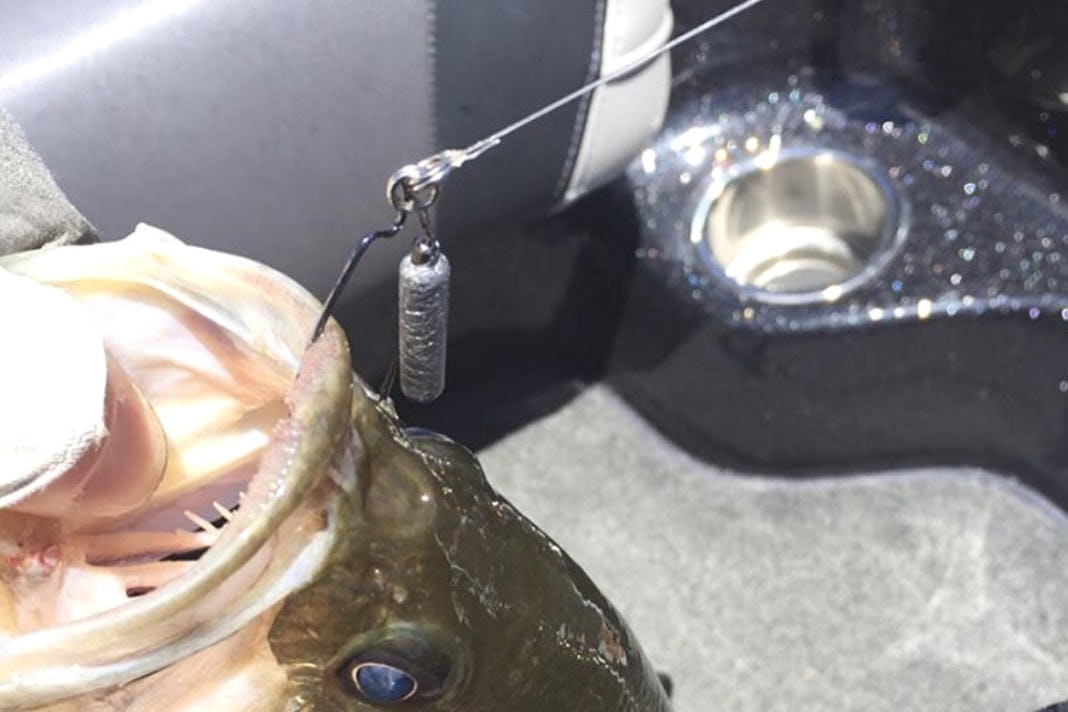 Catch More Fish on the Jika Rig | Bass Utopia