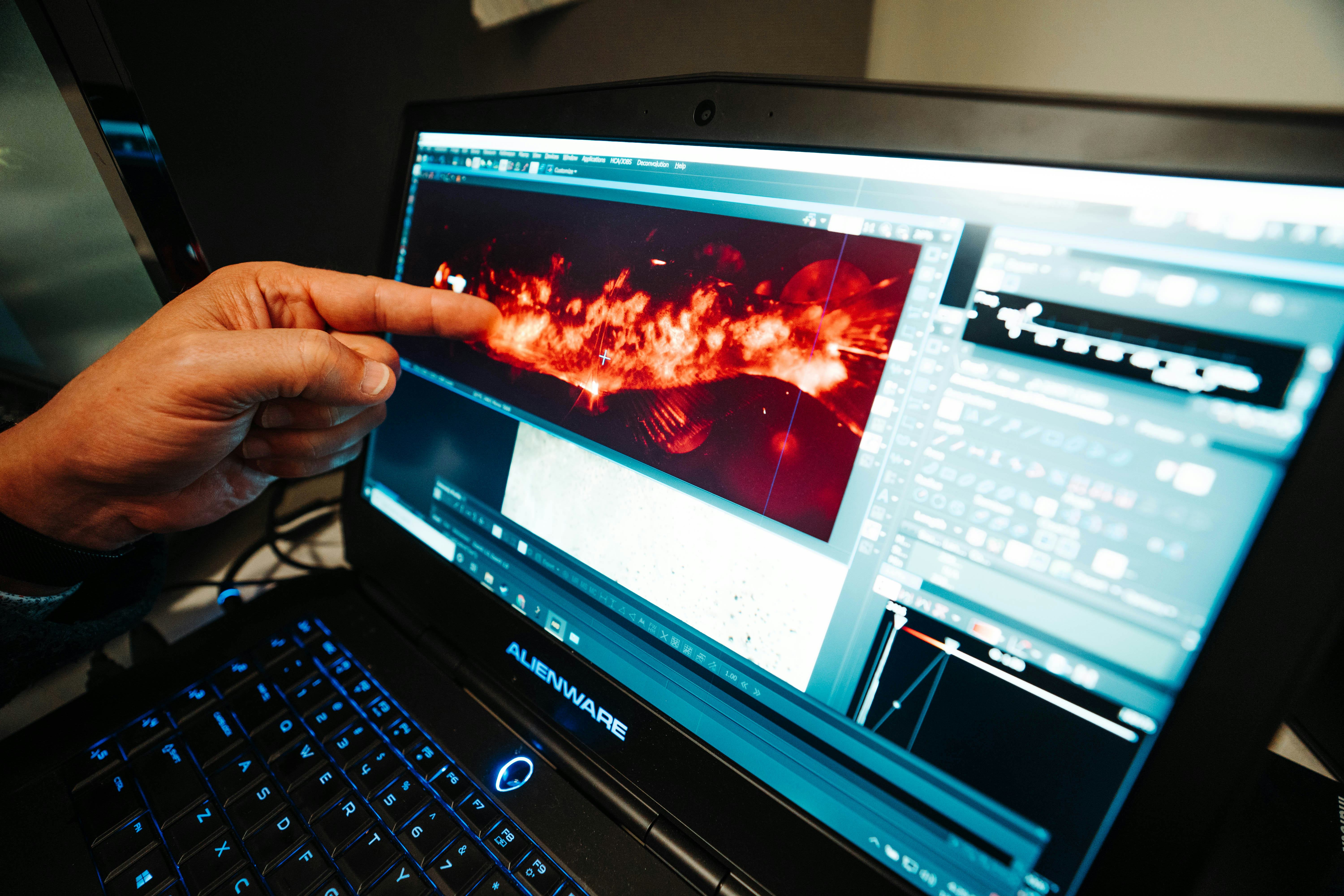 How do Bass See Color? | Bass Utopia