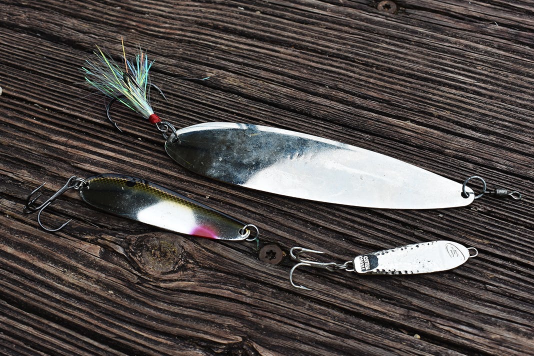 How to Choose the Right Spoon | Bass Utopia