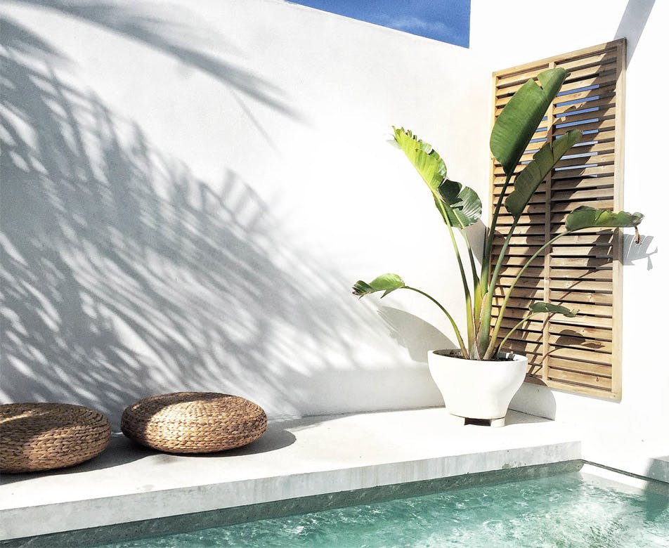 Whitewashed walls freshen this tropical plunge pool space by Mon Palmer.