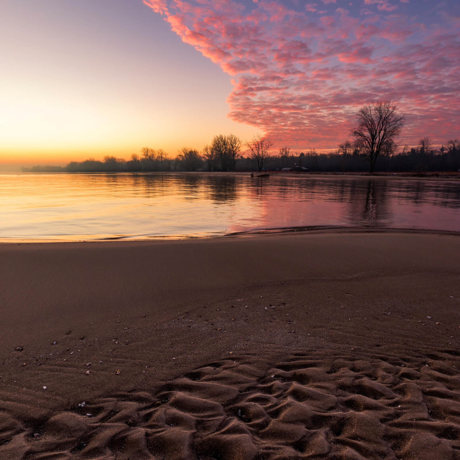 Home | Hey, Bay City!