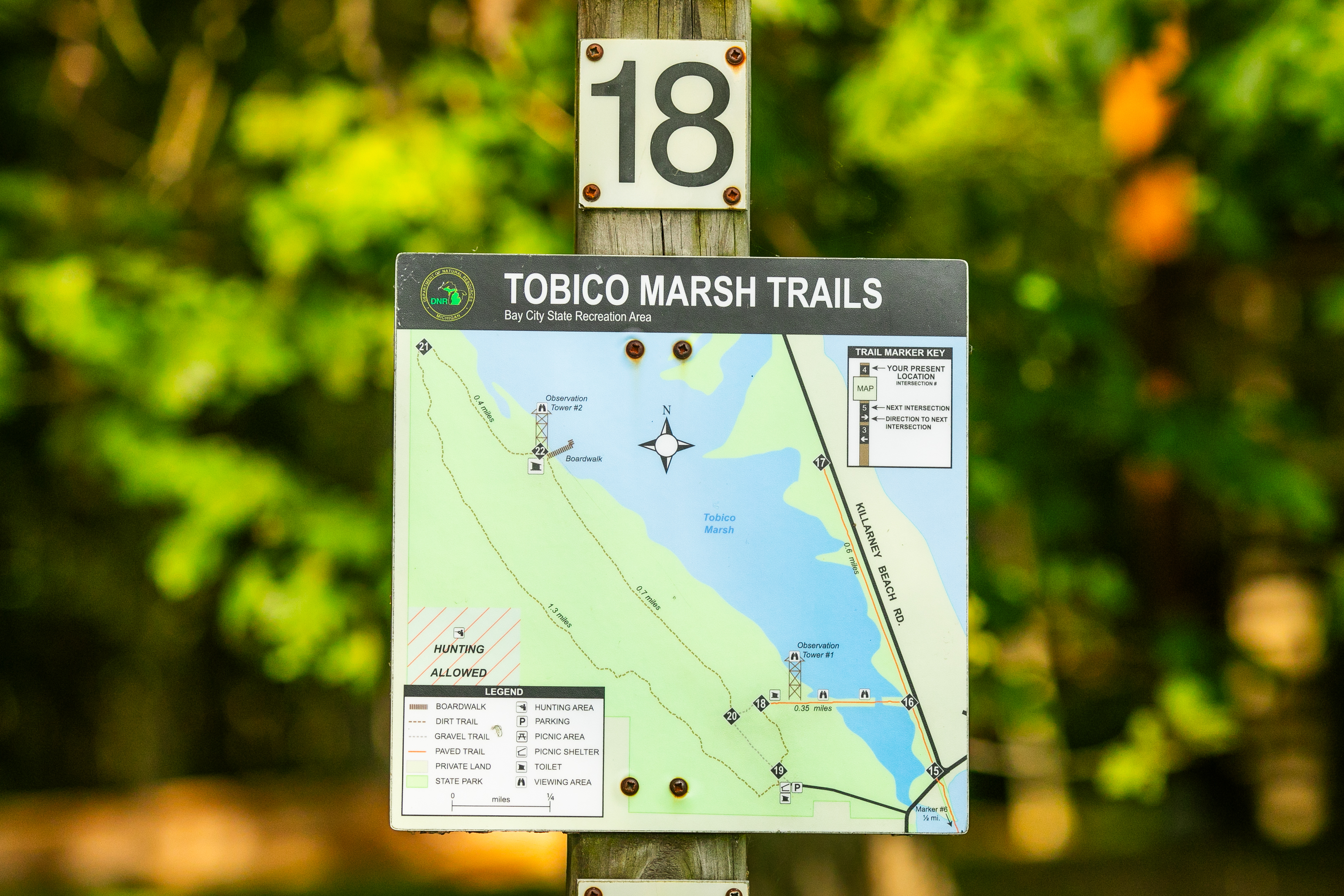 Tobico Marsh | Hey, Bay City!