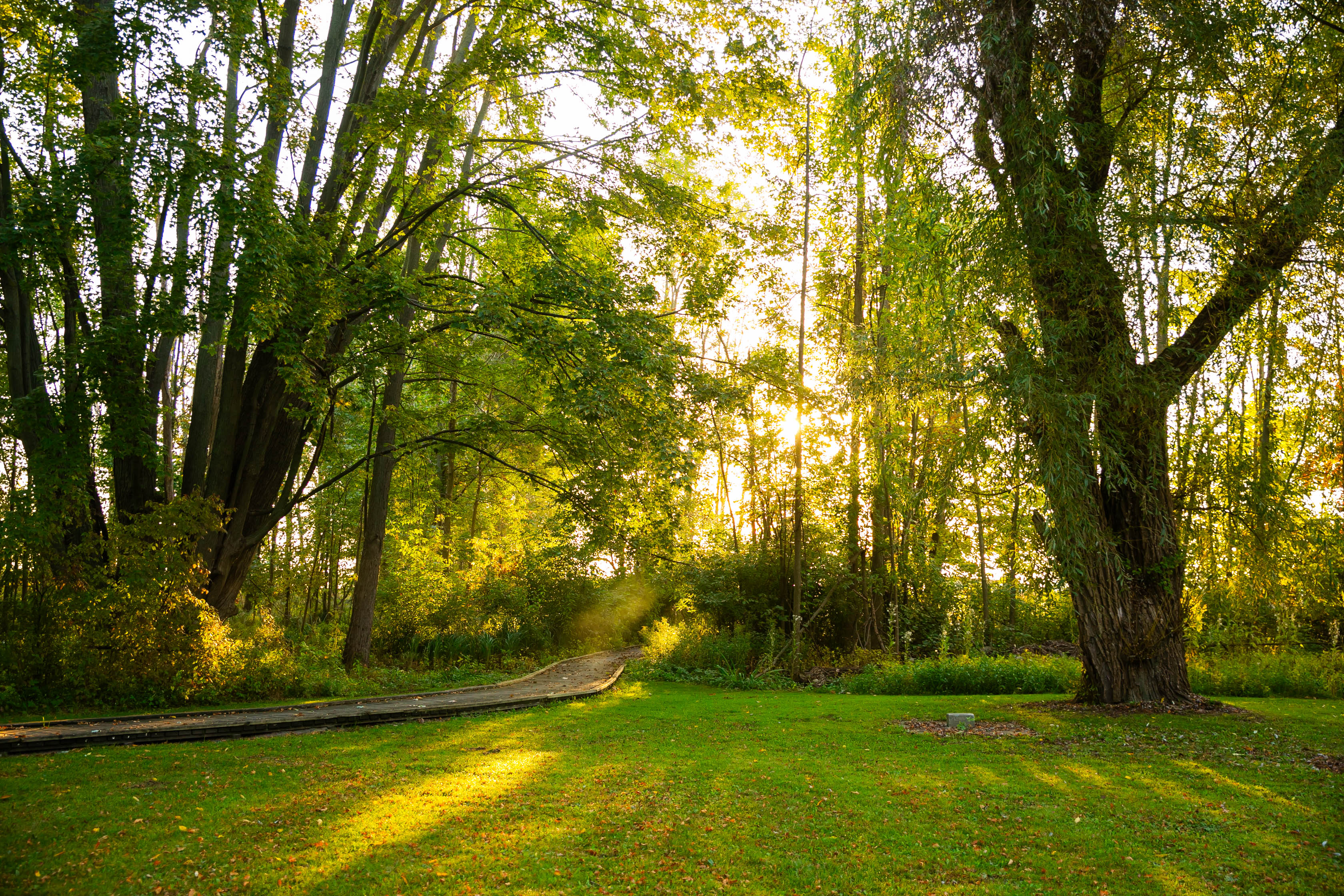 Home | Hey, Bay City!