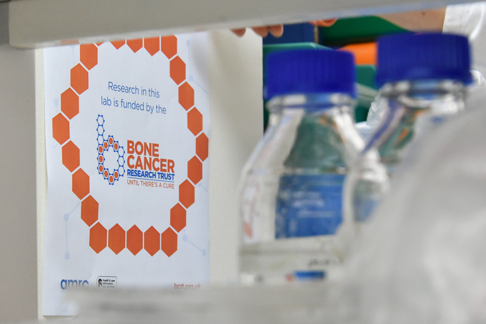 Beating Bone Cancer for Ben