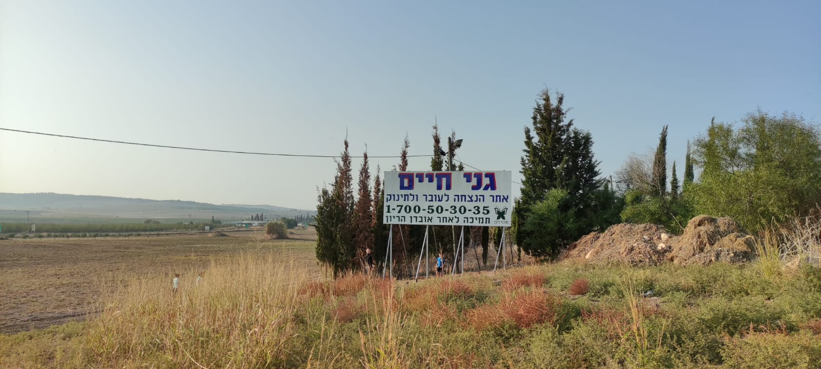 Stories & Updates | Be'ad Chaim - Israel Pro-Life