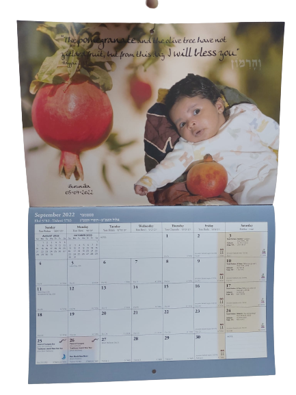 Lettre de Nouvelles Novembre 2022