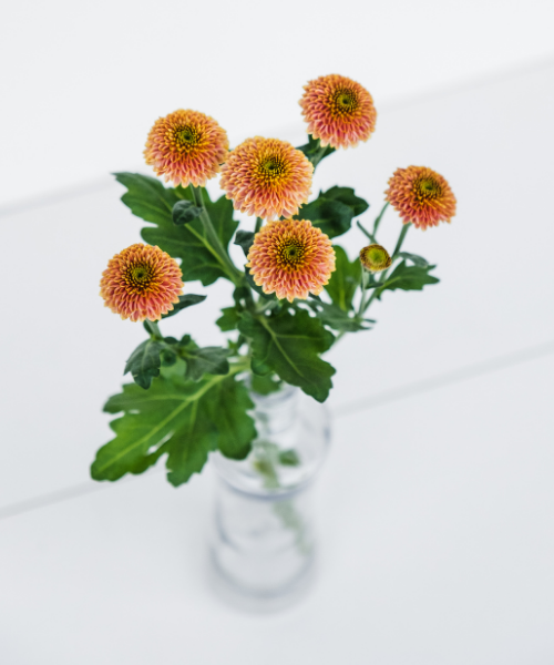 Lilies, Roses, Alstroemeria, Doria Mums and Solidago | Bear's Blooms