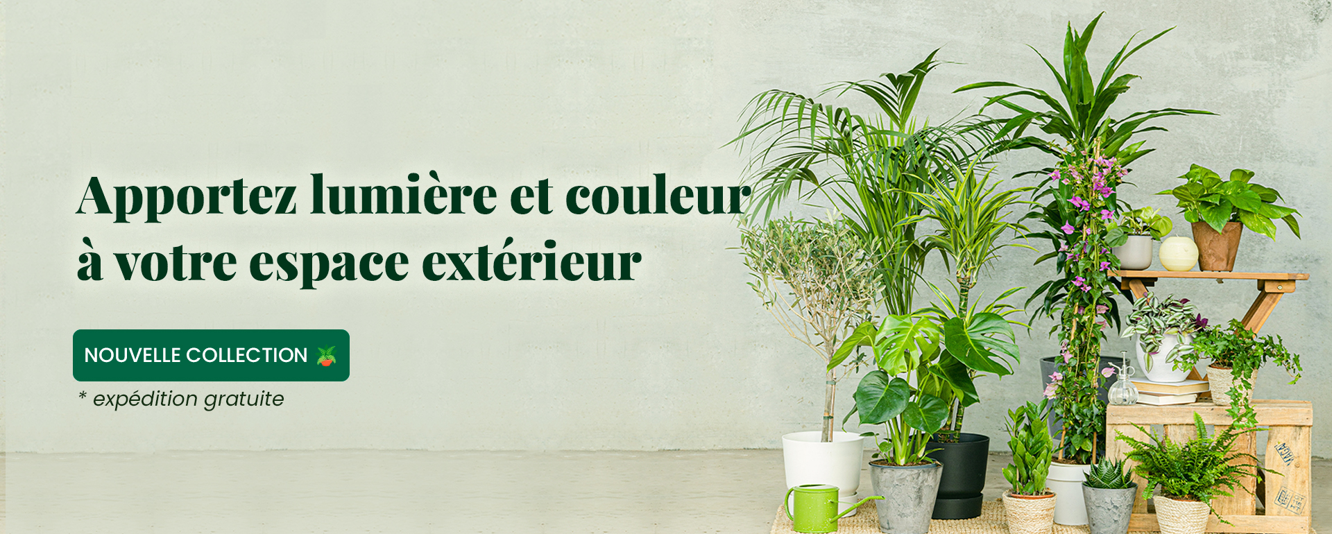 Somiibo : l'outil tout-en-un pour automatiser votre croissance sur les ...