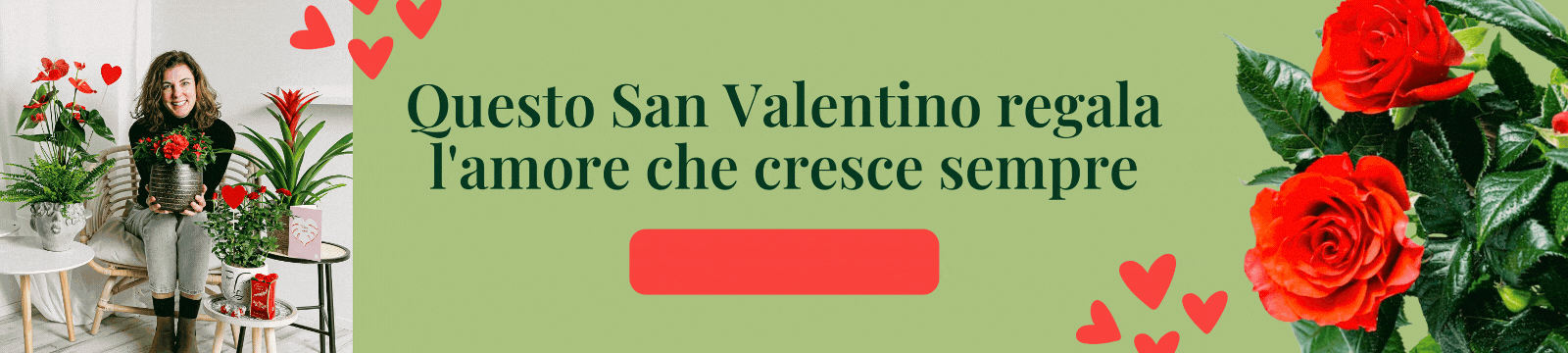 Guida pratica alla felce di Boston: cura e consigli