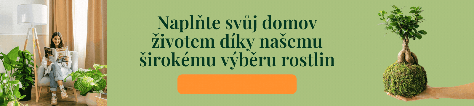 Jak se rostliny rozmnožují: druhy a význam rozmnožování rostlin