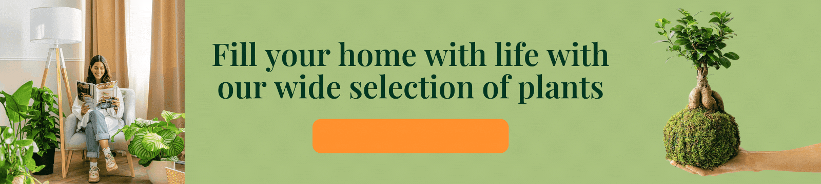 Lack of watering: Detect it and take action Lack of watering: Detect it and take action