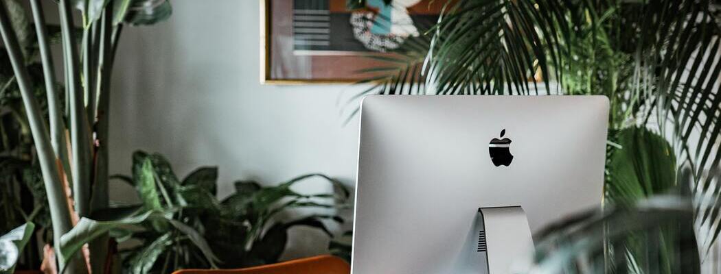 Toutes les informations sur les plantes que vous devez connaître