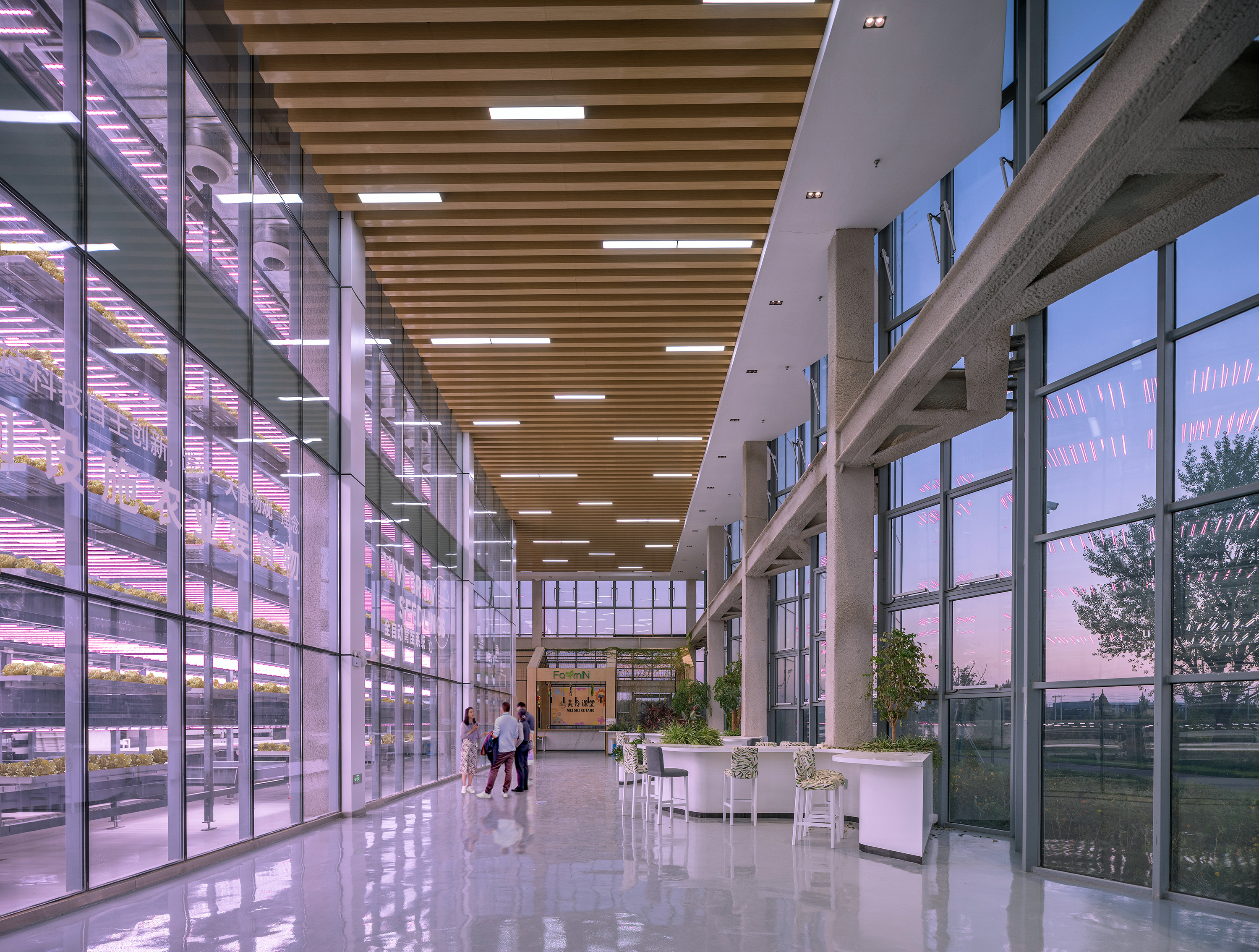 Vertical Farm Hengshui