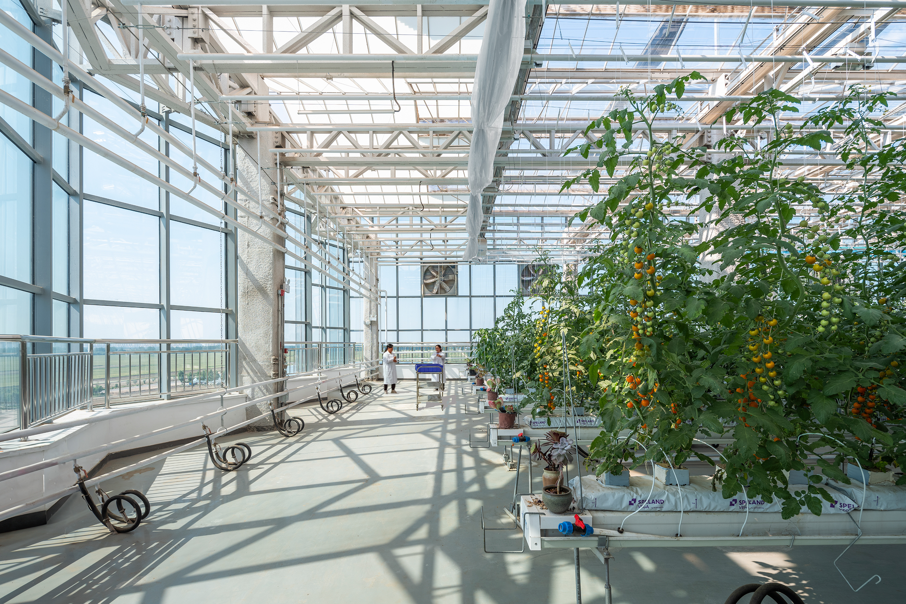 Vertical Farm Hengshui