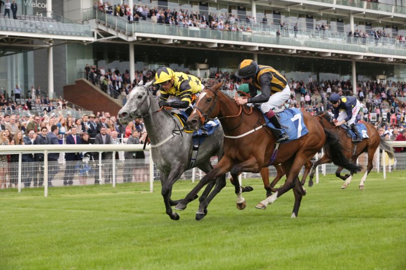 Top 10 Best Horse Racing Betting Sites UK (2023)