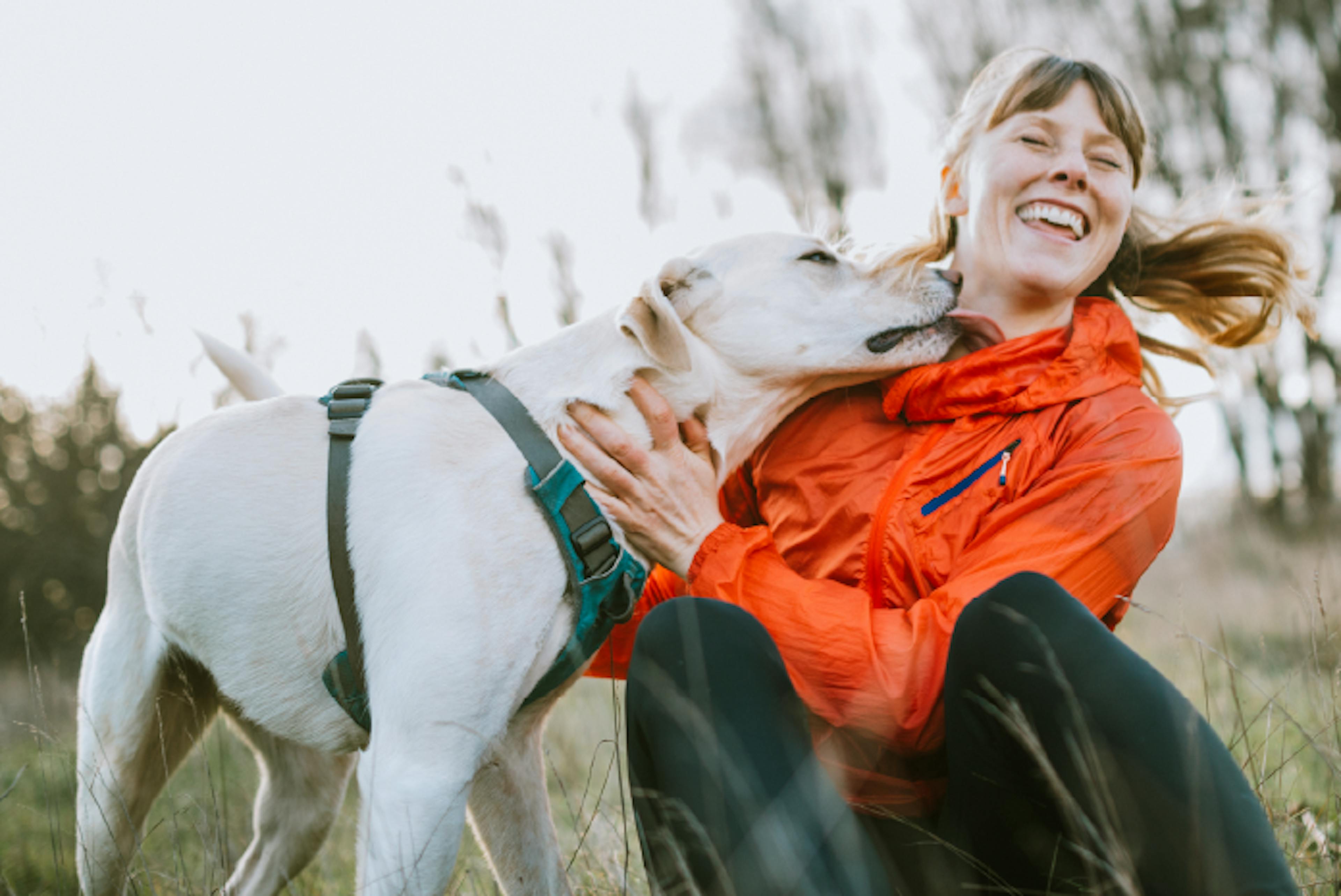 Comment repérer un RIB frauduleux