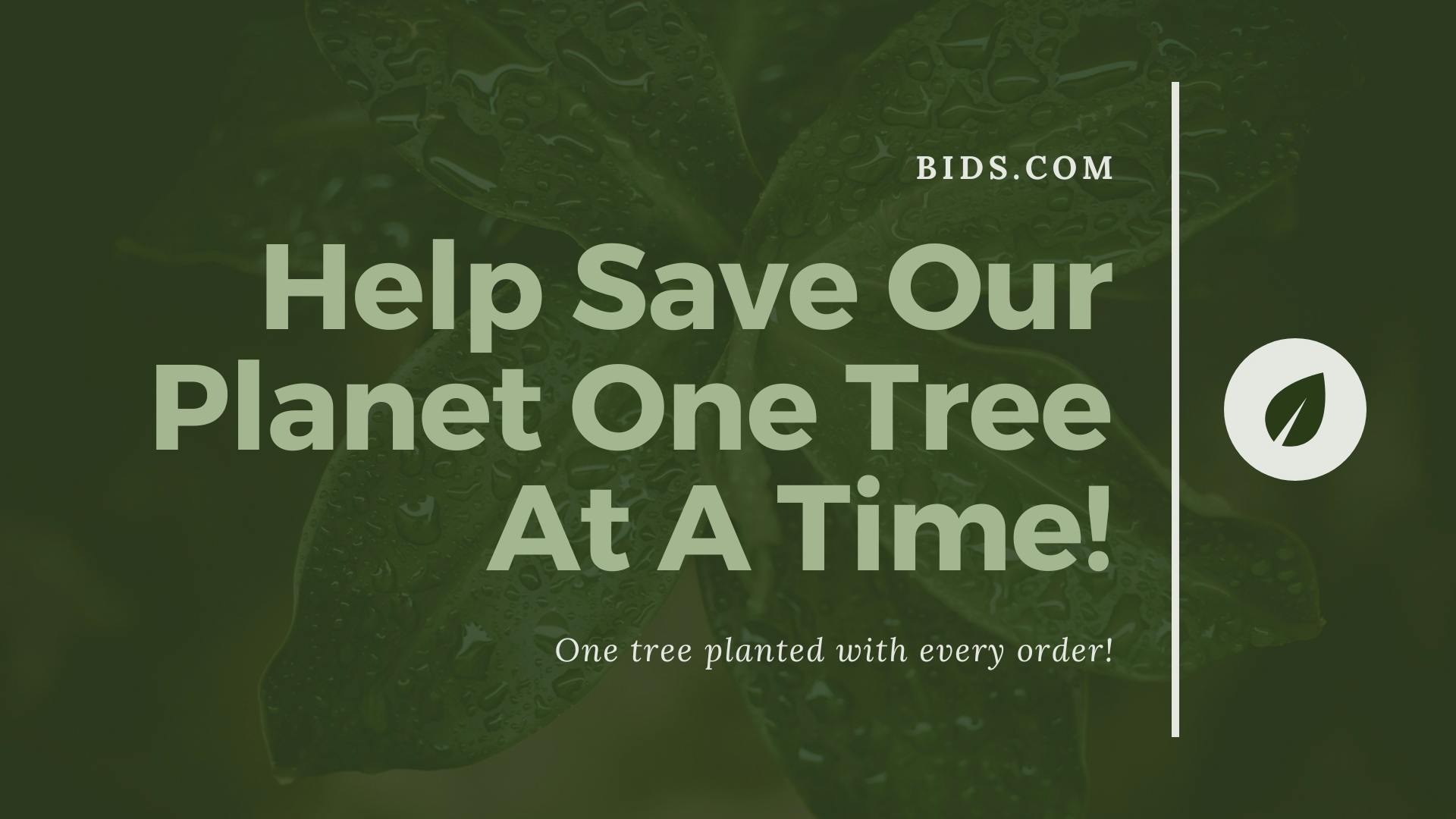 Best Online Auctions - Bids.com