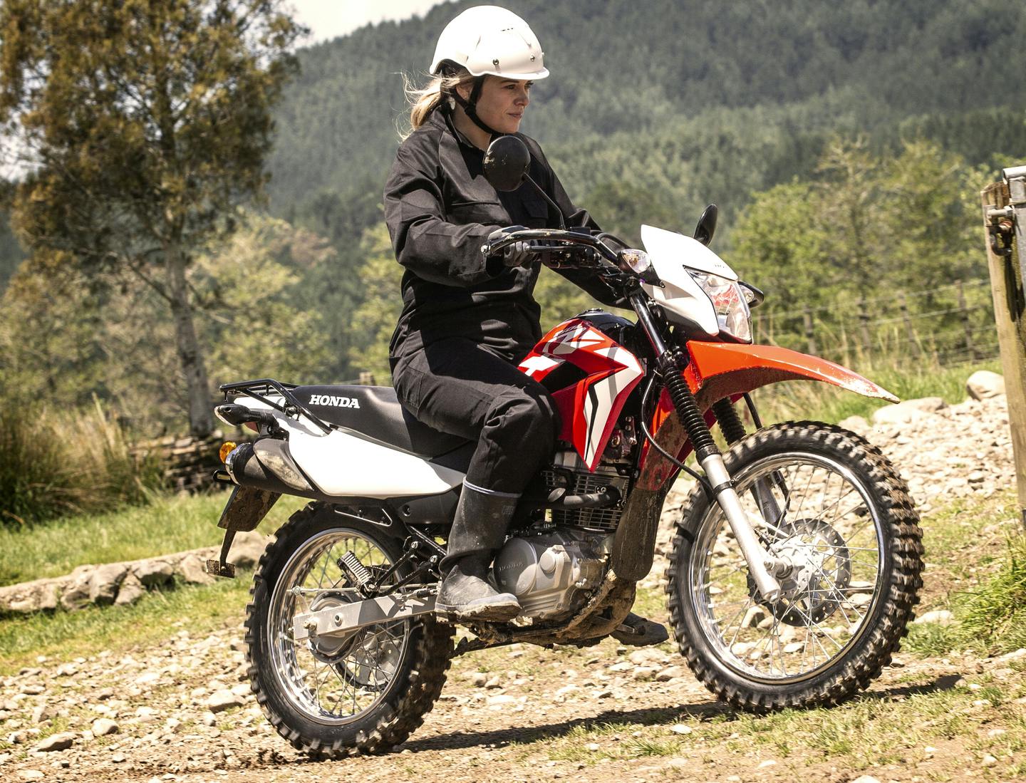 Honda XR150 | Best Prices & Test Rides | Bikebiz Sydney