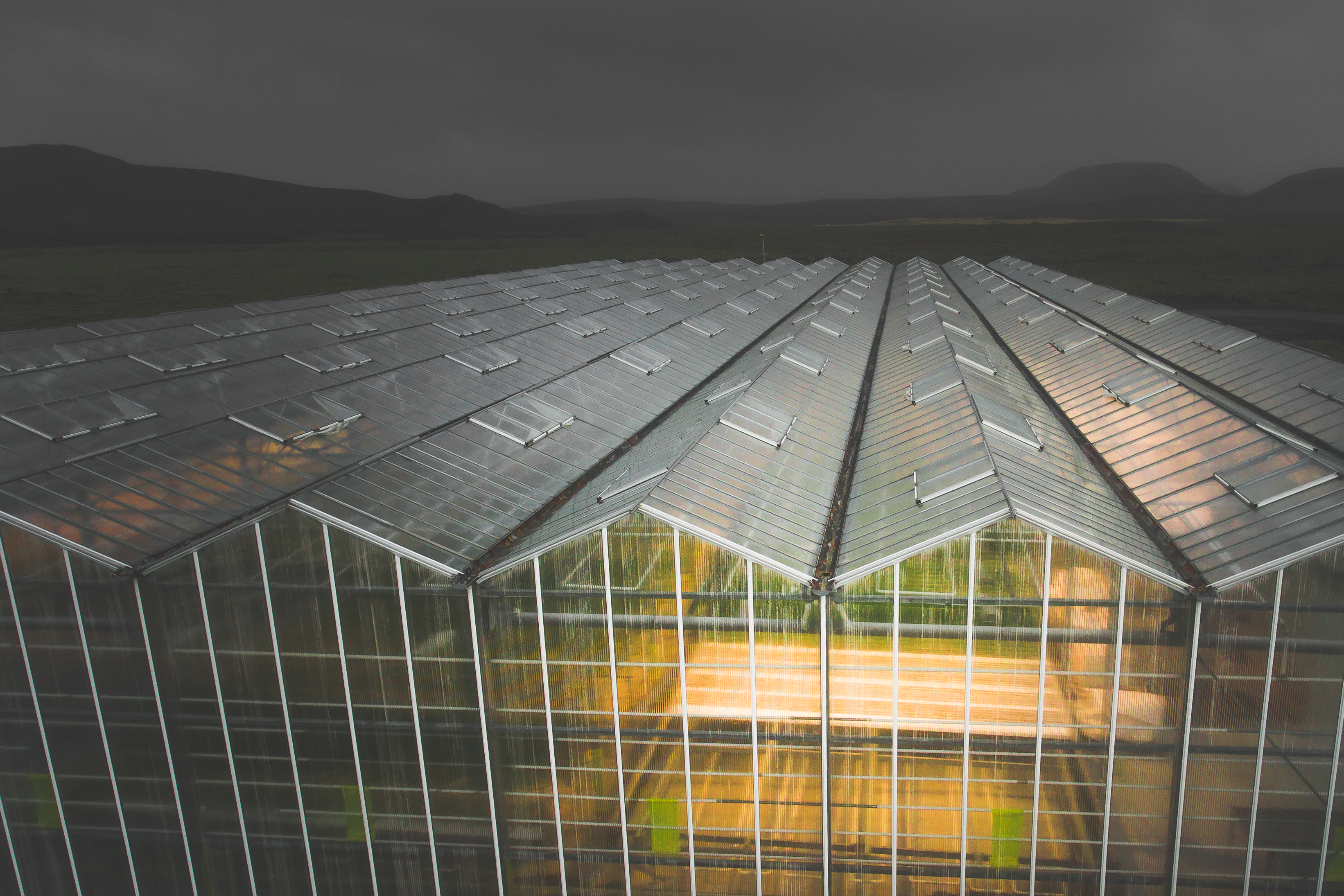 Our Greenhouse | BIOEFFECT