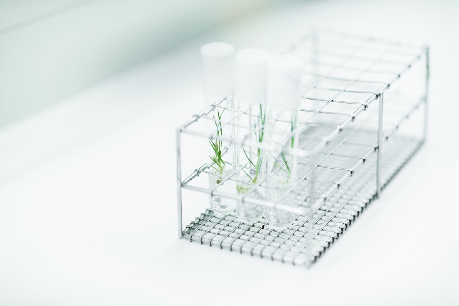 Embrace Nature, Embrace Science - BIOEFFECT