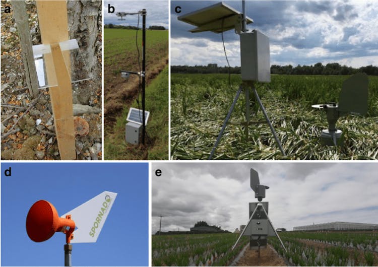 Spore trapping: what is it, and why is it important for agriculture?