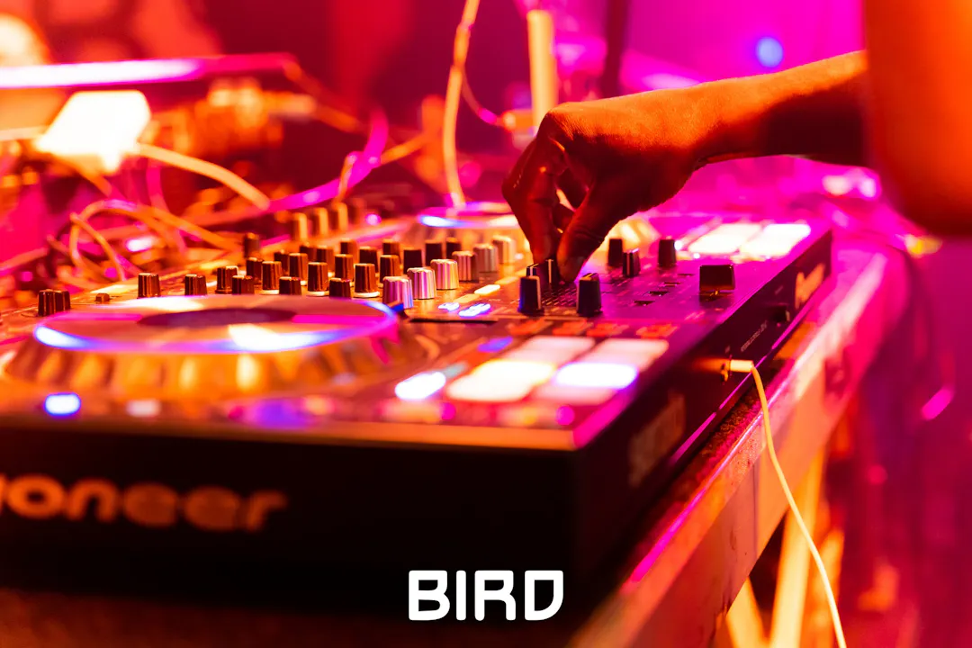 Club of BIRD | Afro, R&B, Hiphop en Dancehall in Rotterdam