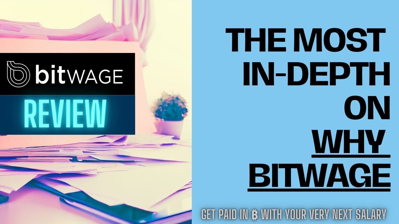 In-Depth Bitwage Review: Why Bitwage Is the Best Payroll Solution | Bitwage Blog