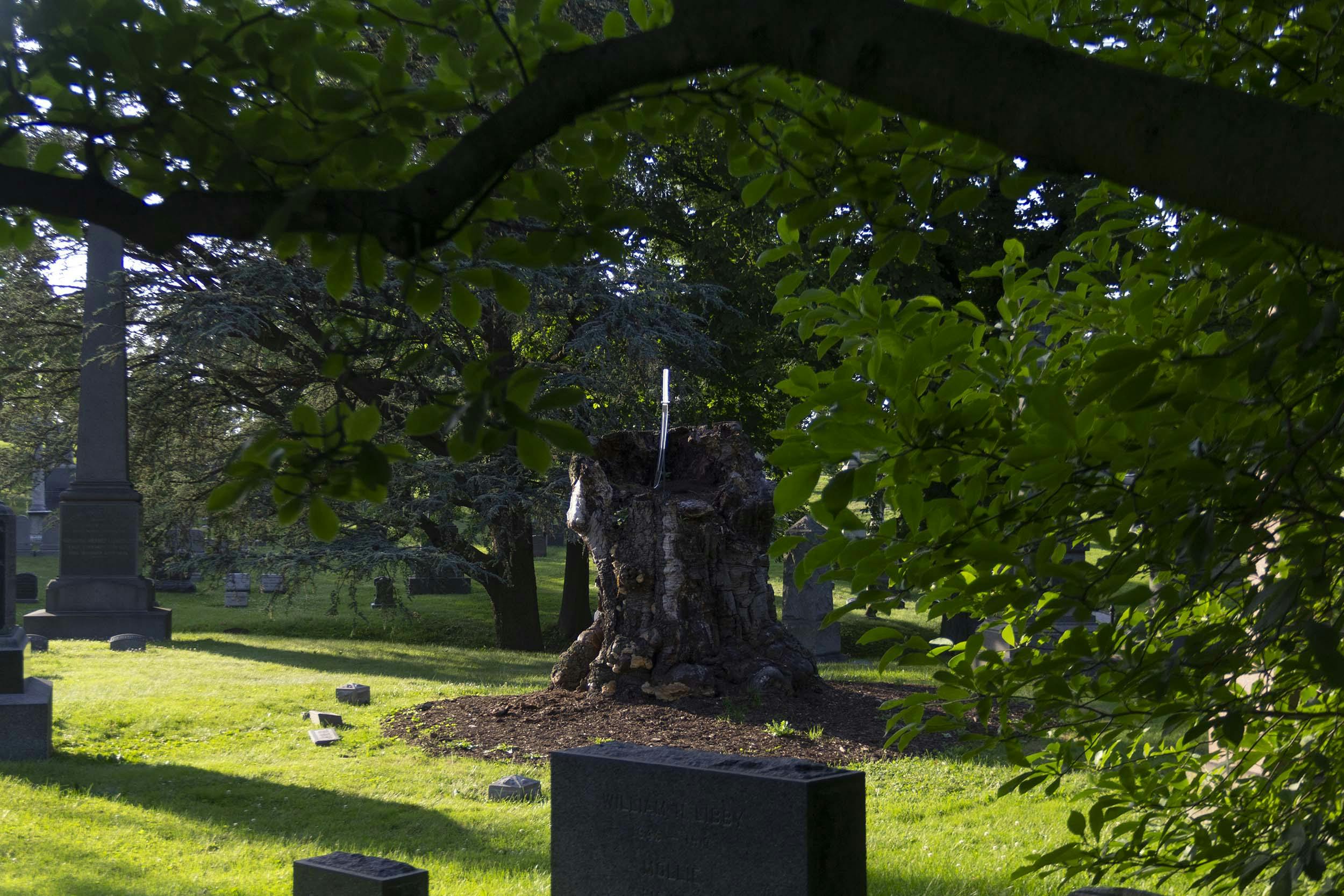 Black Cube - Public Sculptures - Adam Milner