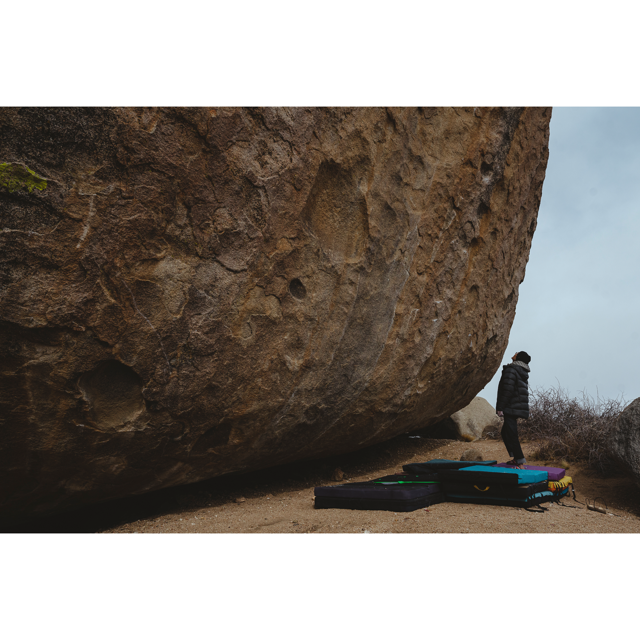 Focus—A Bishop Highball Project with Timmy Kang