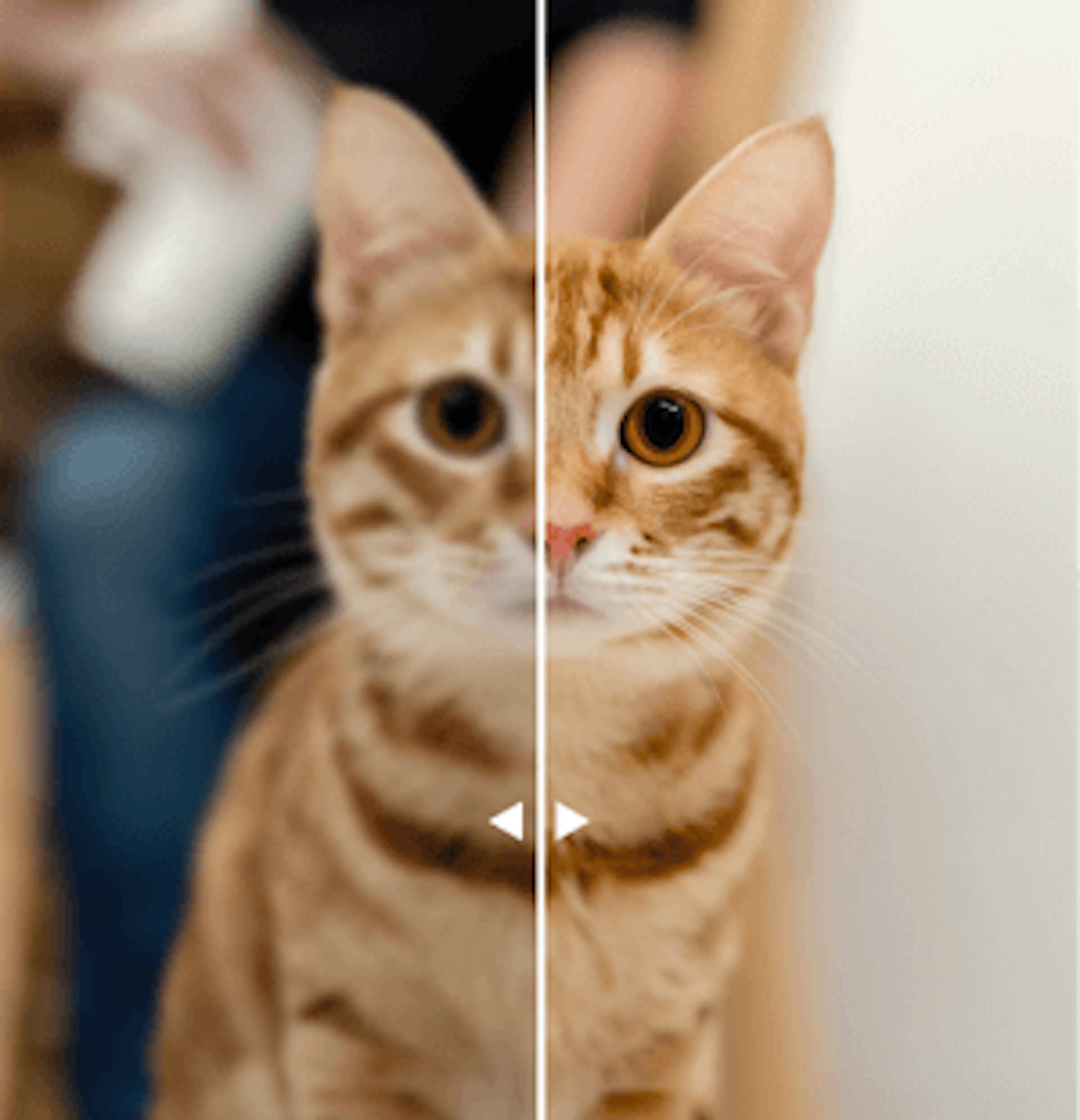 Blend: AI Background Eraser & Photo Editor