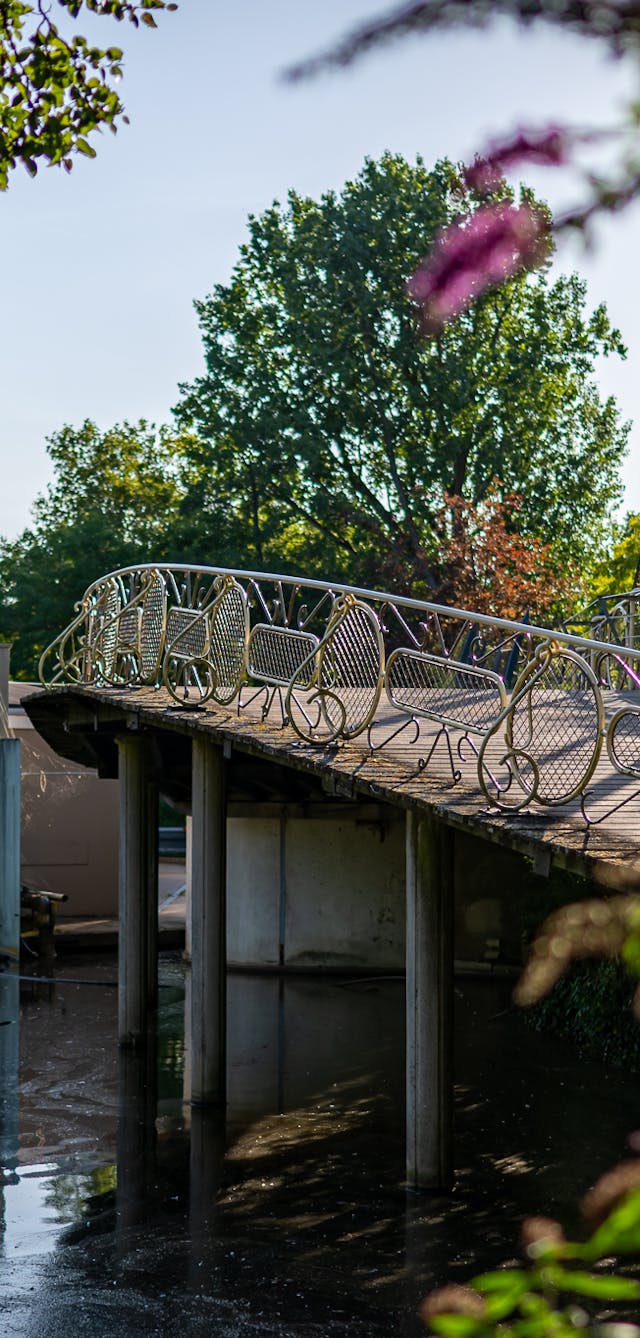 Wordt abonnementhouder | Diergaarde Blijdorp