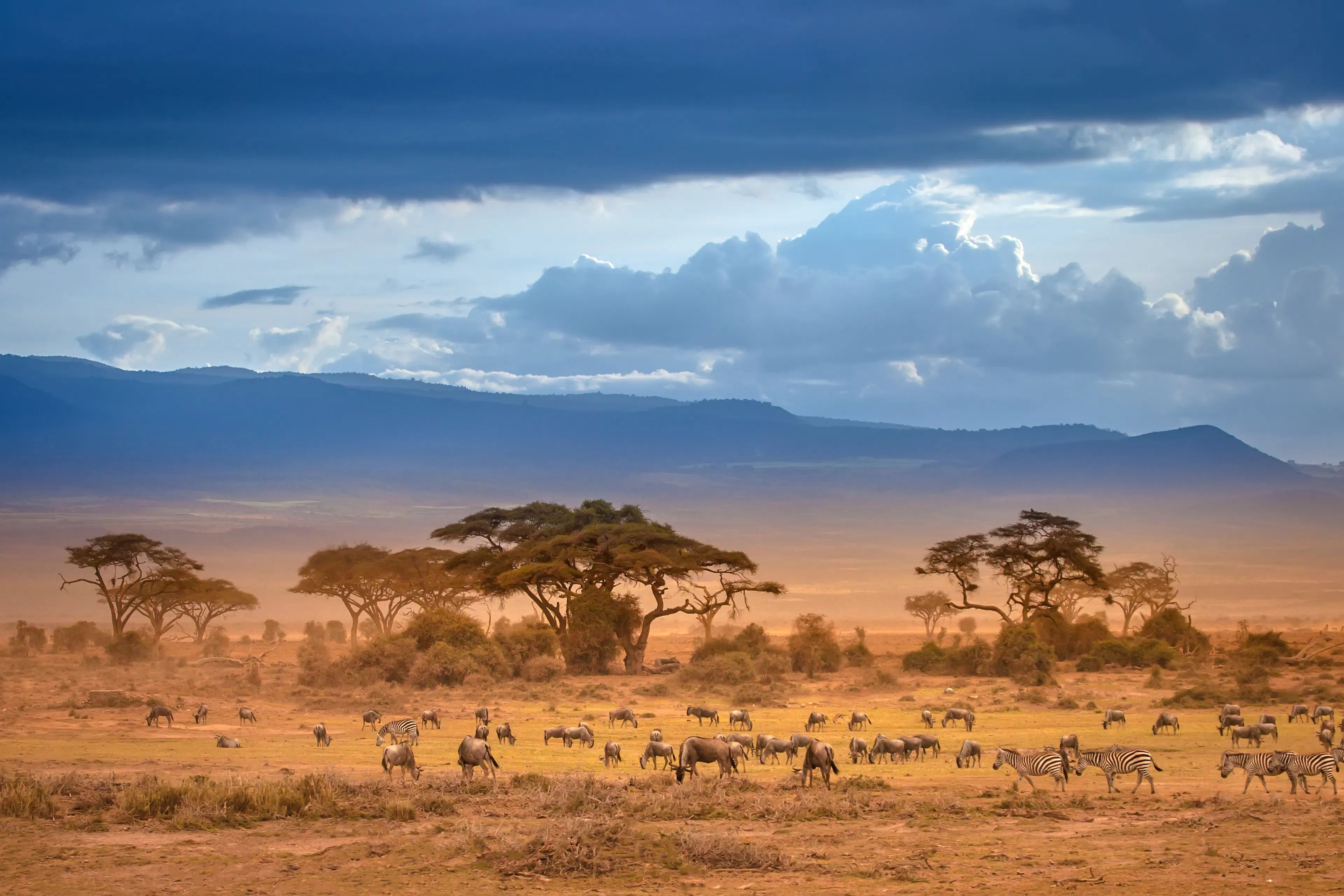 African Plains | Rotterdam Zoo