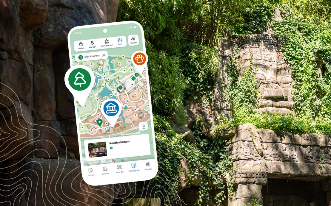 Plan your visit | Rotterdam Zoo