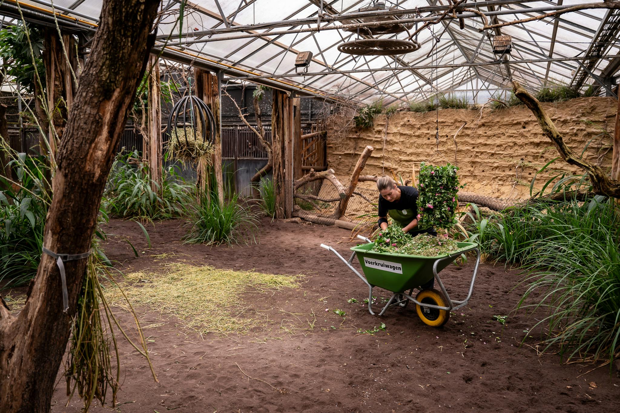 Rondleiding | Diergaarde Blijdorp