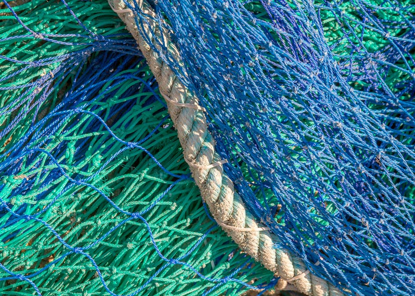 Vleet | Diergaarde Blijdorp