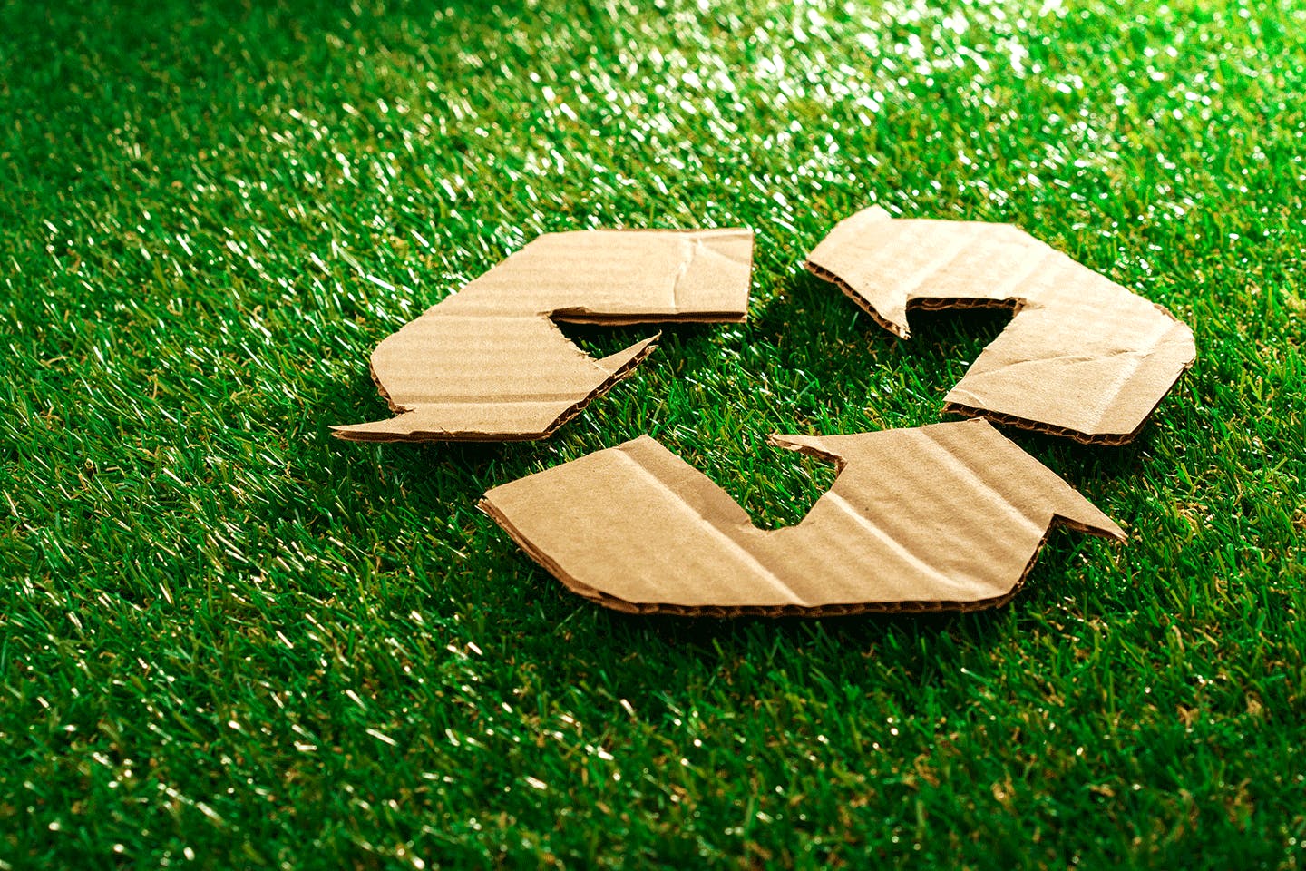 Cocina ecológica y sostenible