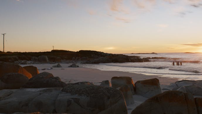 BMF — Australia’s Most Effective Creative Agency – The Home of the Long ...