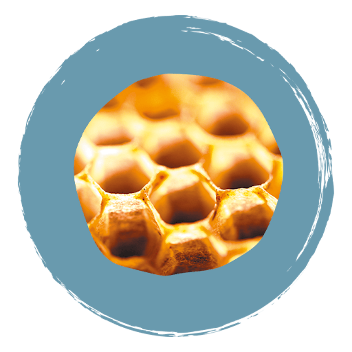 Propolis | Produit de la Ruche et homéopathie | Boiron