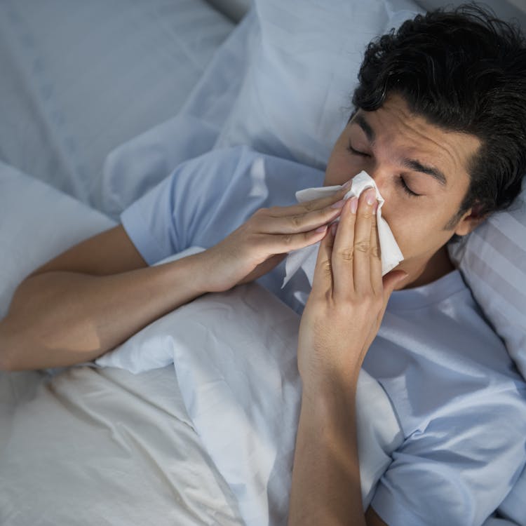 Comment traiter le rhume ou une rhinopharyngite avec l'homéopathie ...