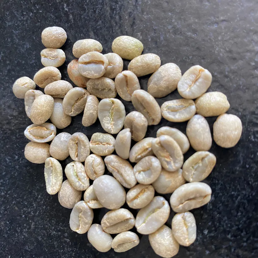 Le Caféier d’Arabie | Boiron