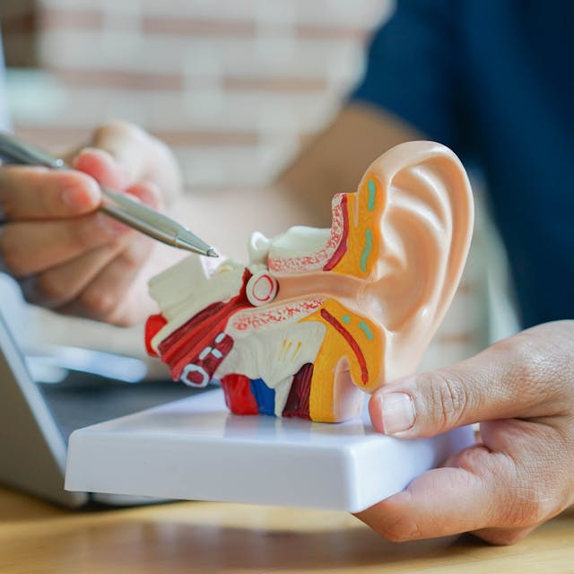 Comment soigner une otite ? | Boiron