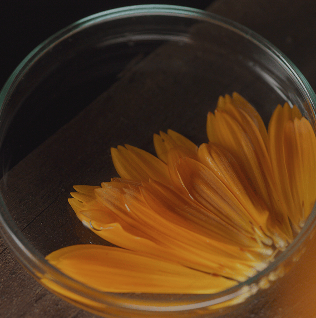 Le Calendula | Boiron