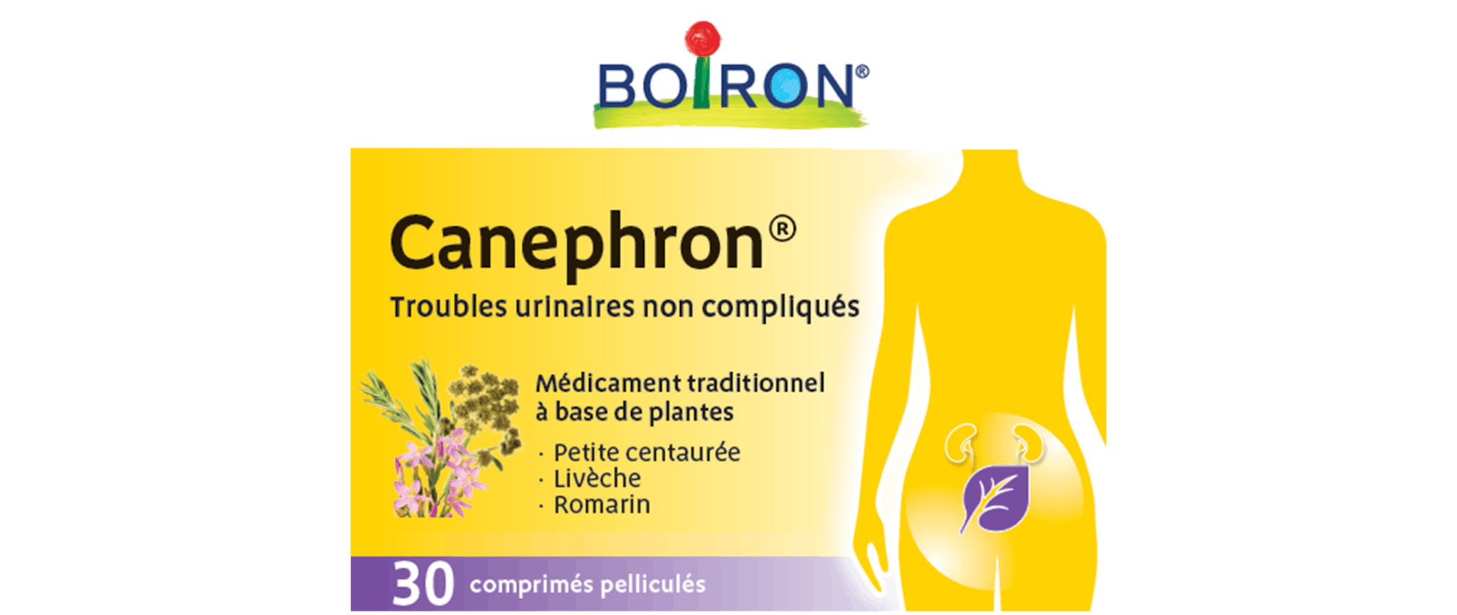 Canephron® - Médicament phytothérapie - Boiron