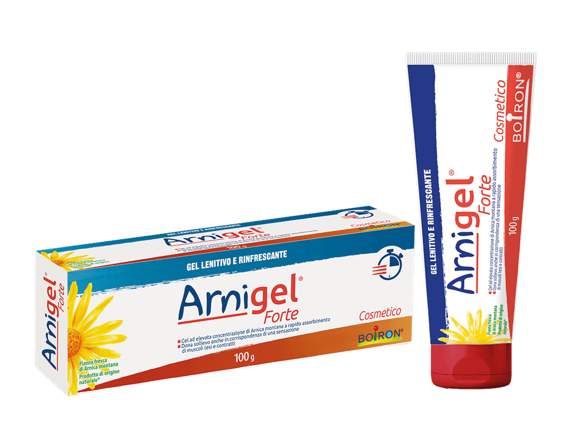 Arnigel Forte ® | Arnica gel Forte | Boiron.it