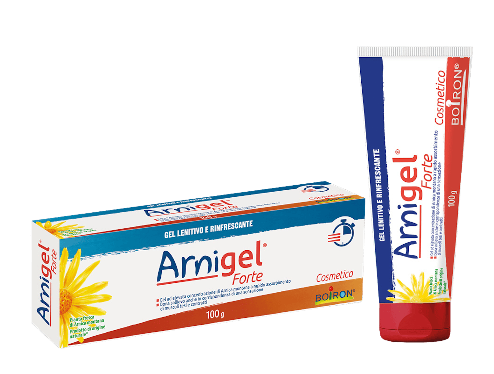 Arnigel Forte ® | Arnica gel Forte | Boiron.it